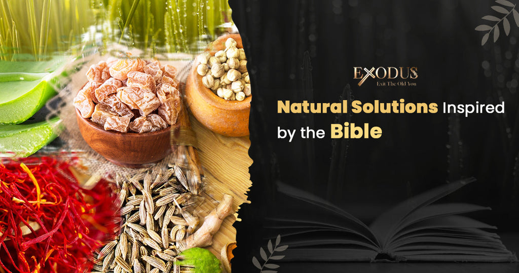Exodus Strong: Natural Solutions Inspired by the Bible